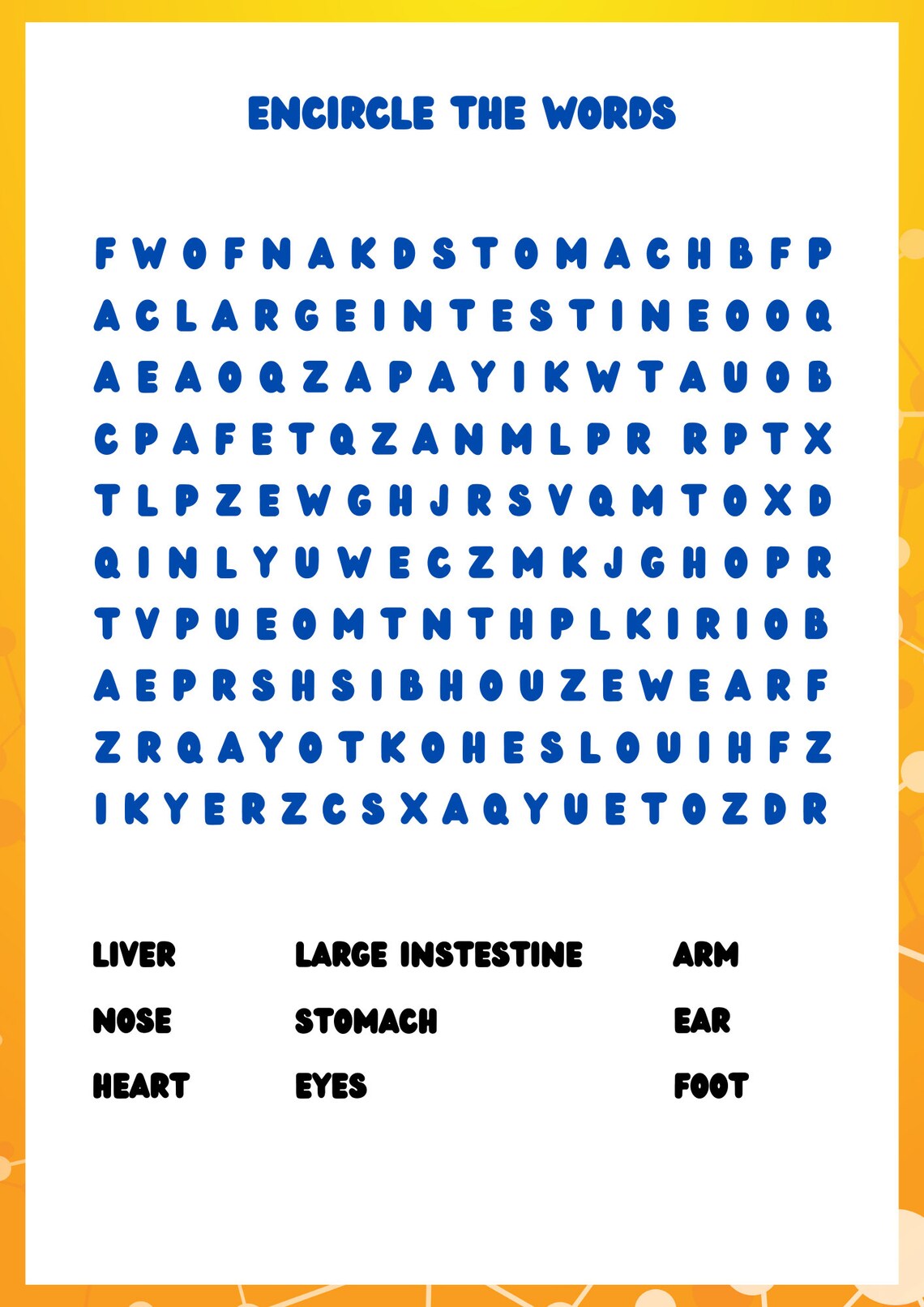 Printable Human Body Worksheet, Body Parts Anatomy for Kids, Matching ...