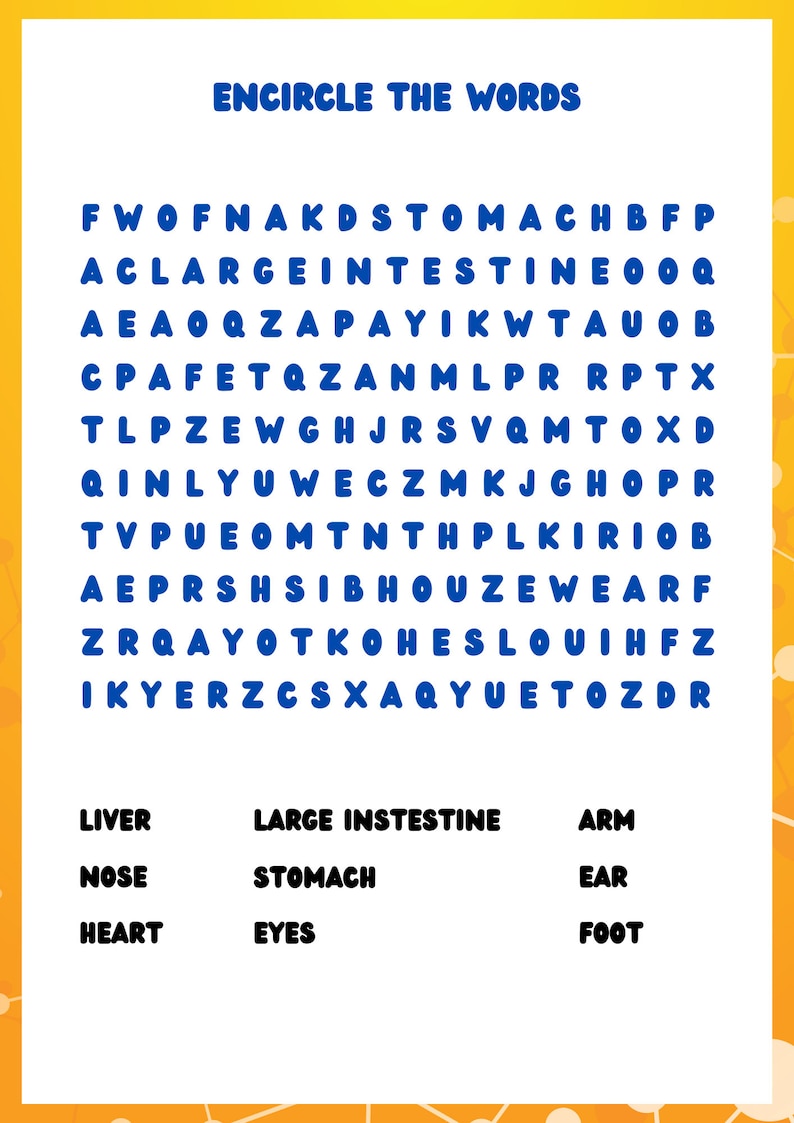 Printable Human Body Worksheet, Body Parts Anatomy for Kids, Matching ...