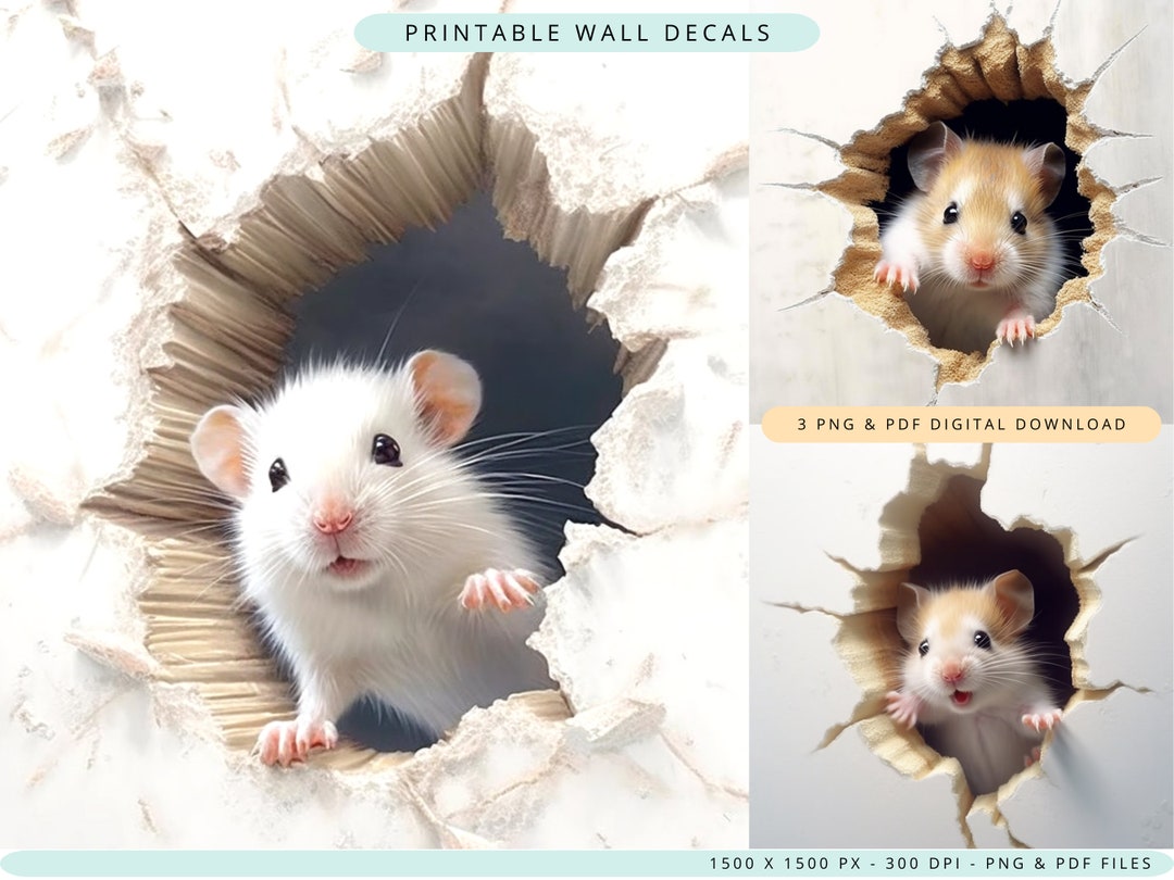 3D Mouse in Mouse Hole Wall Decal Nursery Funny Stickers, Transparent ...