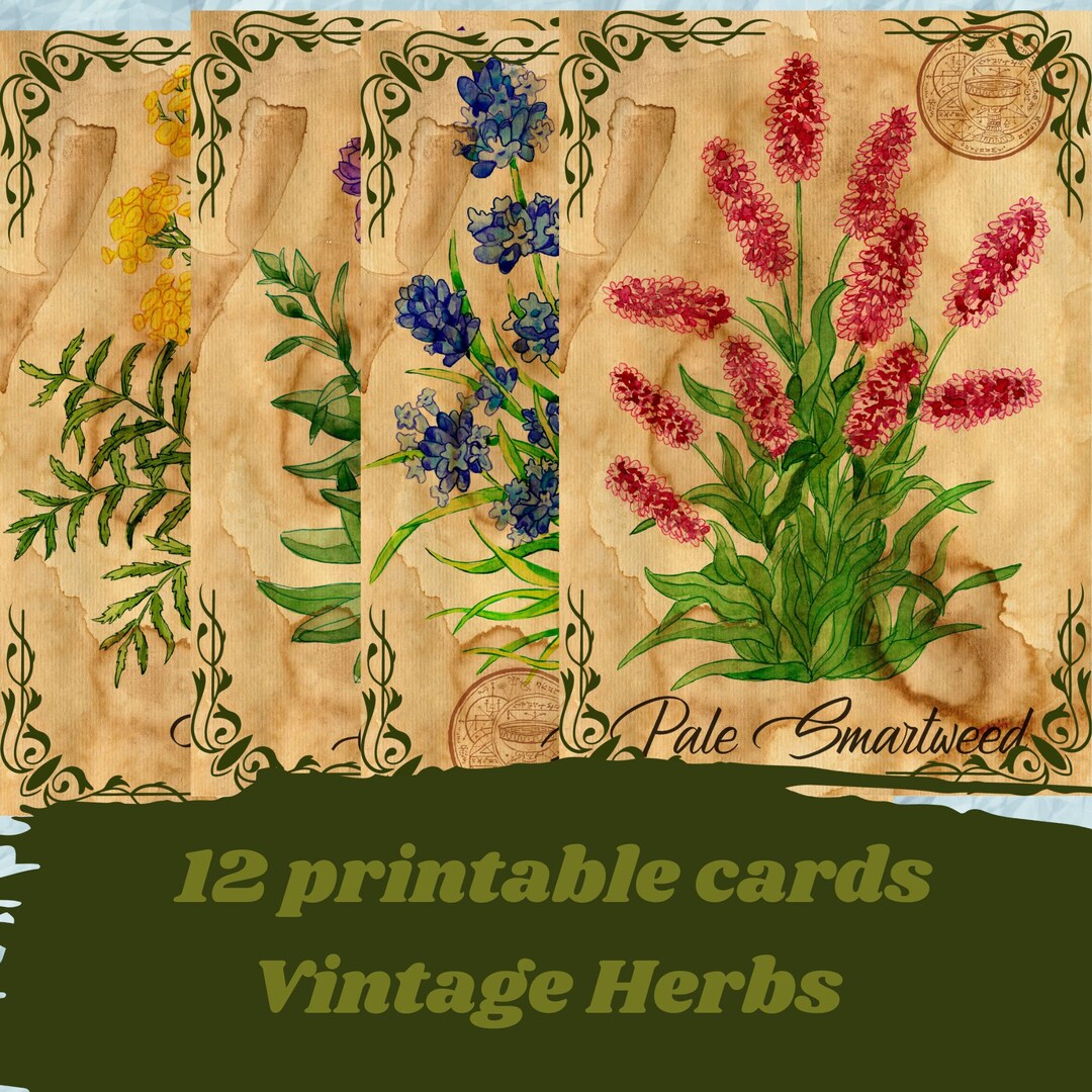 Vintage Herb Cards for Junk Journal, Herb Garden Cards, Printable Cards ...