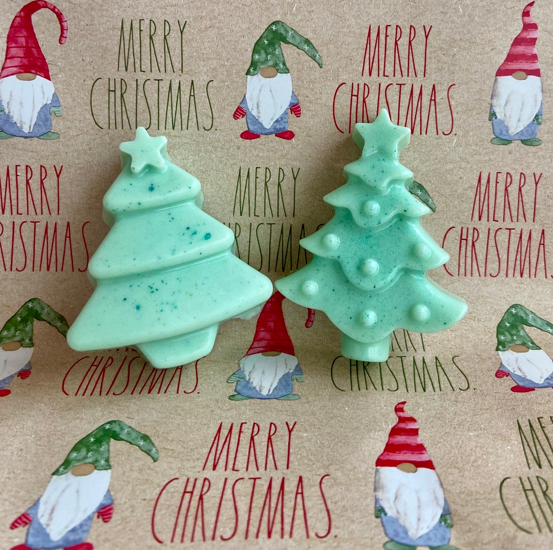 2 Pack Scented Tree Soaps, Secret Santa Holiday Gift Soap, Soap for ...