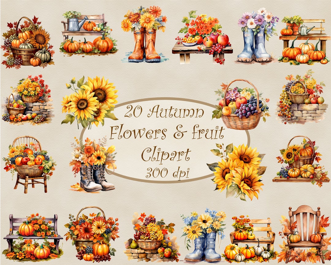 Autumn Watercolor Clipart With Fall Elements and Sunflowers - Etsy