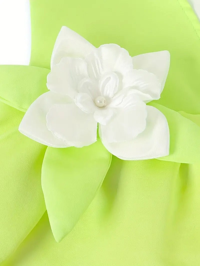 Princess and the Frog Dress Tiana Dress Disney Princess Dress Halloween ...