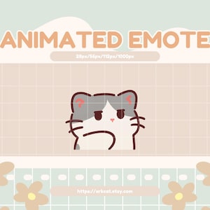 Disappearing Gray and White Cat Emote – Funny Vanishing Cat Meme for ...
