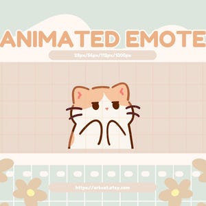 Clapping Emote – Orange and White Cat Animation for Twitch, Discord ...