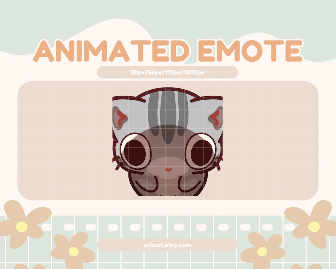 Animated Gray Cat Emote – Blank Stare Meme GIF for Twitch Discord - Etsy UK