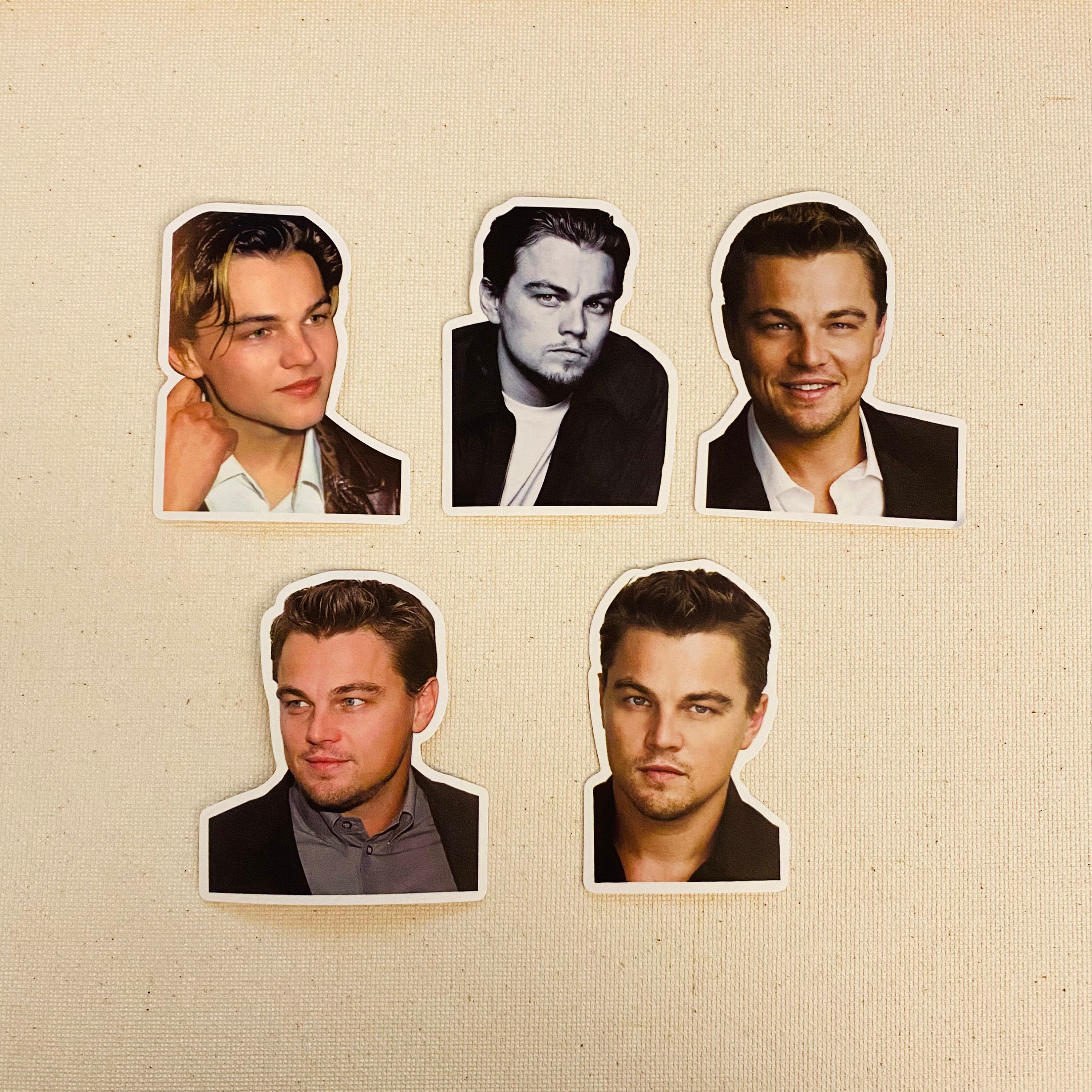 50pcs Leonardo Stickers Titanic Stickers Movie Actor Phone Laptop ...