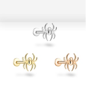 14K Solid Gold Tiny Spider Stud Earrings - Minimalist Cute Tragus ...