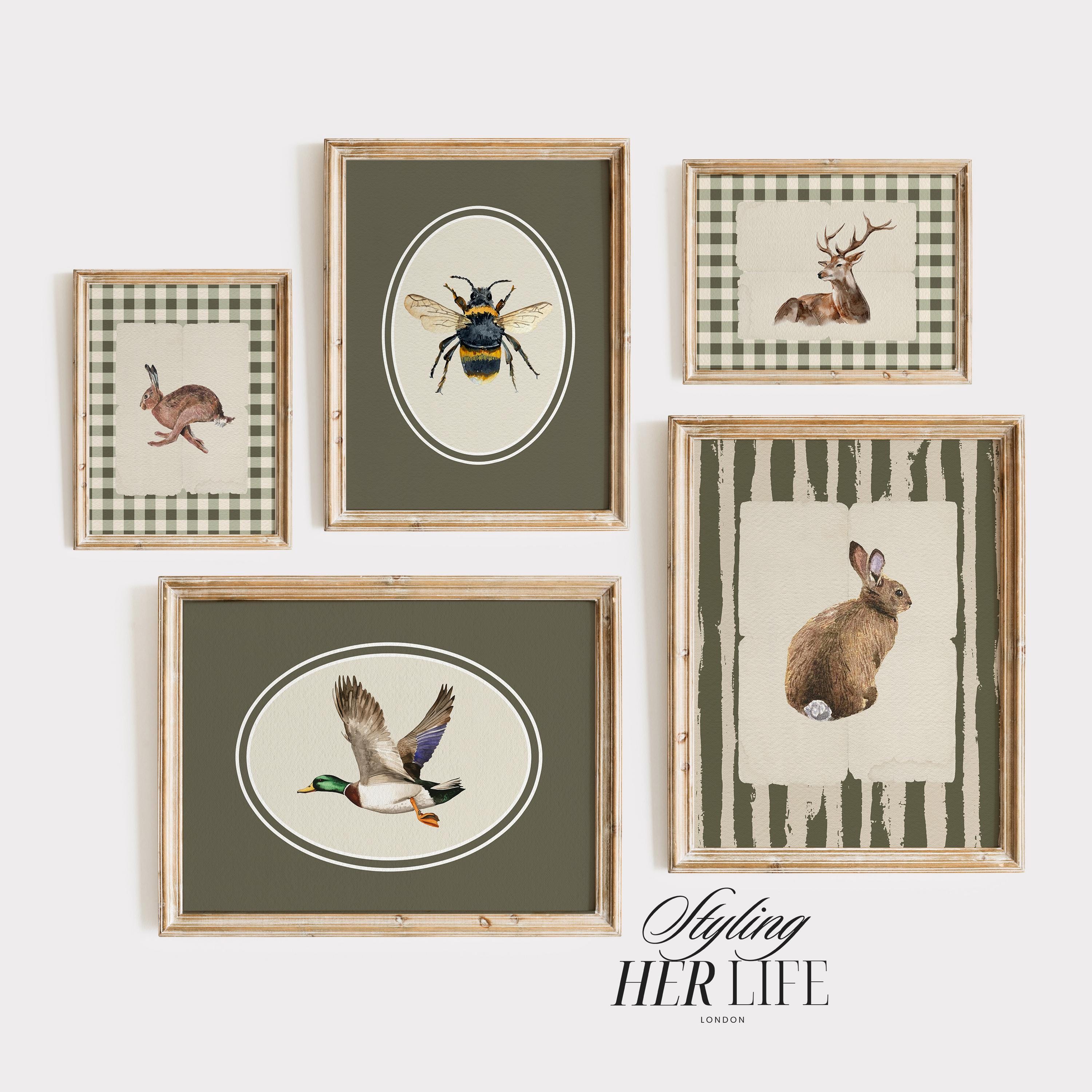 50 Vintage Animal Prints: Green Nursery Gallery Wall, Kids Room Decor ...
