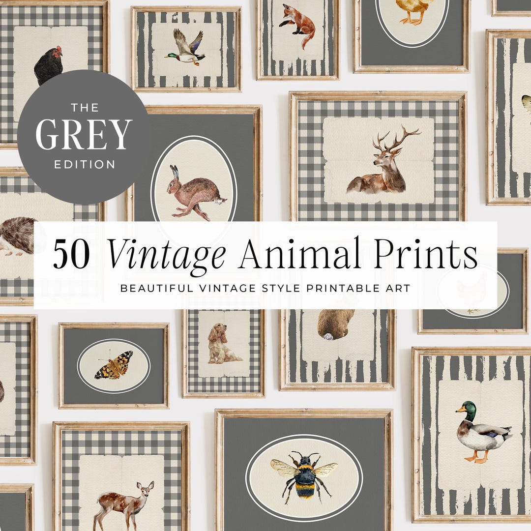 50 Vintage Animal Prints: Grey Nursery Gallery Wall, Farmhouse Style ...