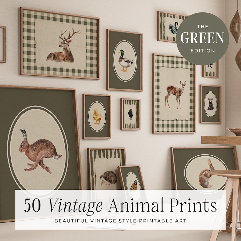 50 Vintage Animal Prints: Green Nursery Gallery Wall, Kids Room Decor ...