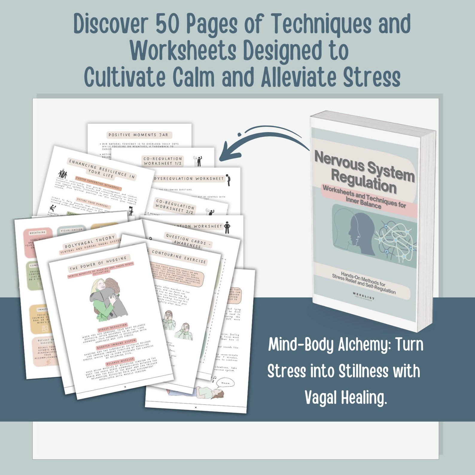 Nervous System Regulation Workbook Somatic Exercise Polyvagal - Etsy Canada