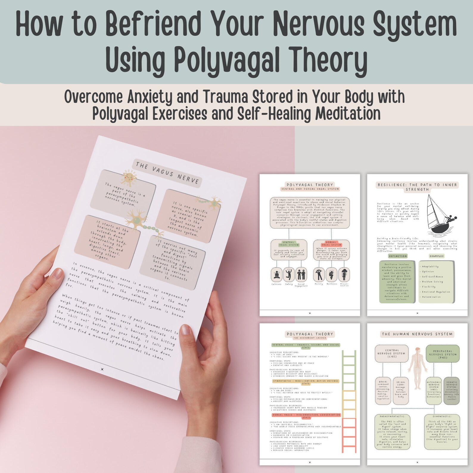 Nervous System Regulation Workbook Somatic Exercise Polyvagal - Etsy Canada