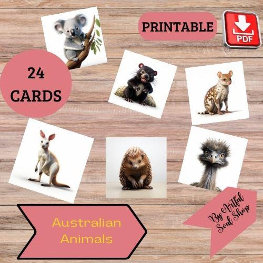 AUSTRALIAN ANIMALS (real Pics) • 24 Editable Montessori Cards • Flash ...