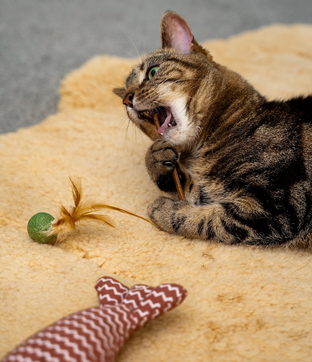 Catnip Toy T Box Cat Owner Grooming Gloves Cat T Box Catnip