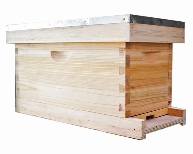 5 Frame Medium Hive Kit - Etsy