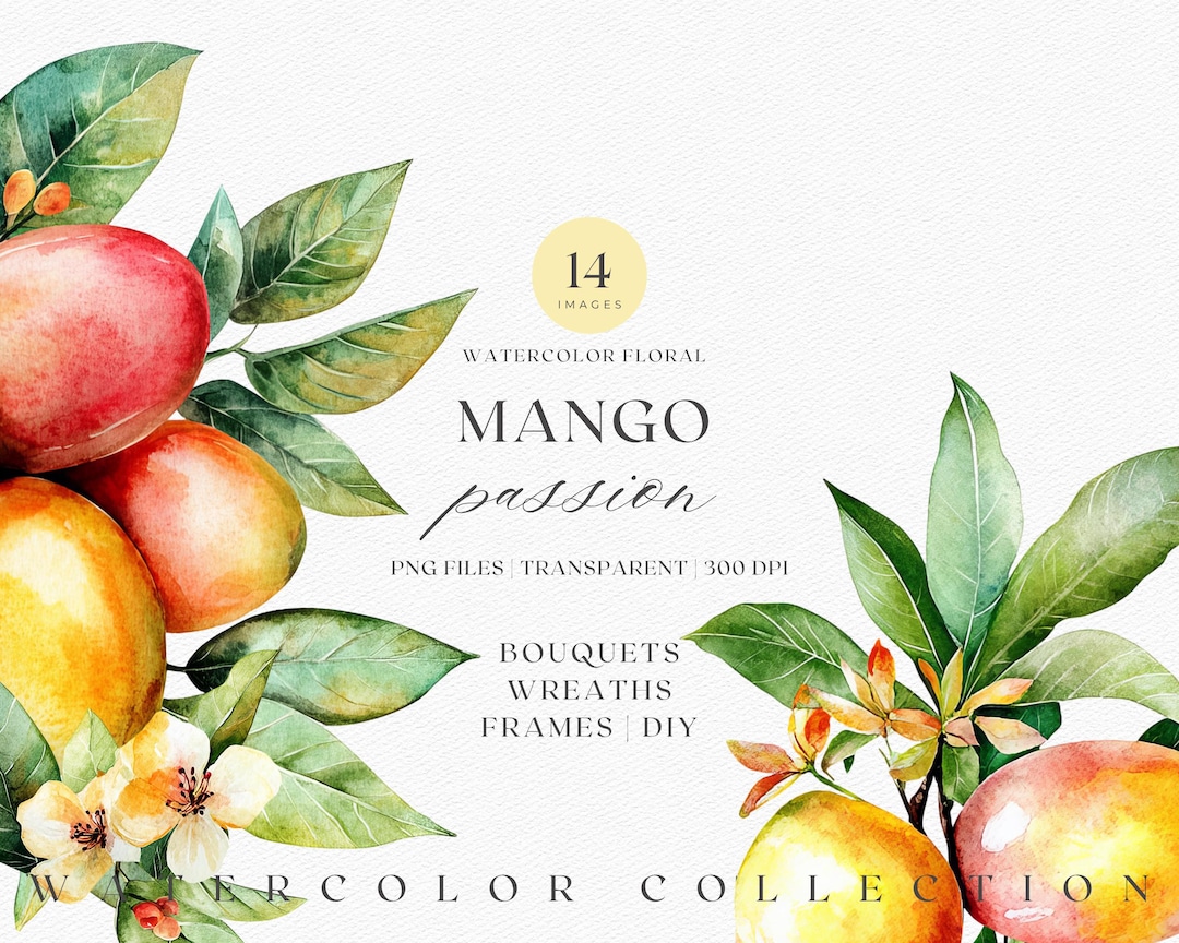Watercolor Mango Clipart — Tropical Fruit & Blossom Illustrations - Etsy