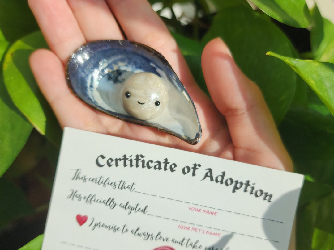 Pet Pearl, FREE SHIPPING, W/ Adoption Certificate & Pet Carrier Box ...
