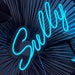 Neon Sign Sully | Night Lights Neon Signs Sully | Sully Room Decor ...
