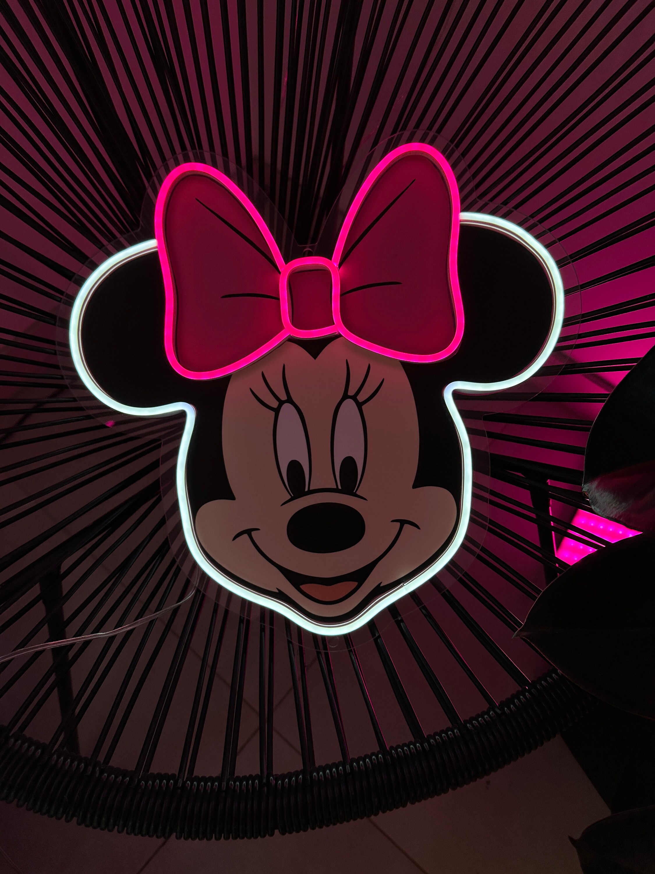 Minnie Mouse Wall Light