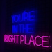 You're in the Right Place LED Neon Sign | Custom LED Neon | Beauty ...