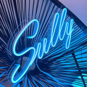 Neon Sign Sully | Night Lights Neon Signs Sully | Sully Room Decor ...