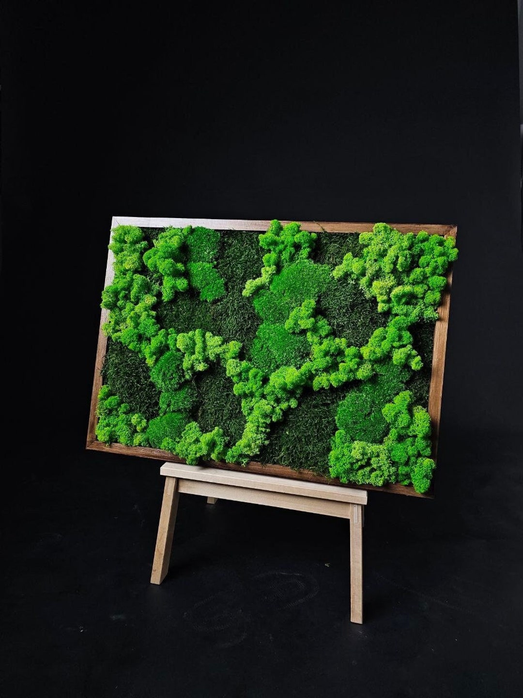 Moss Wall Art Moss Picture Frame Green Wall Art Nature Room Decor Live ...