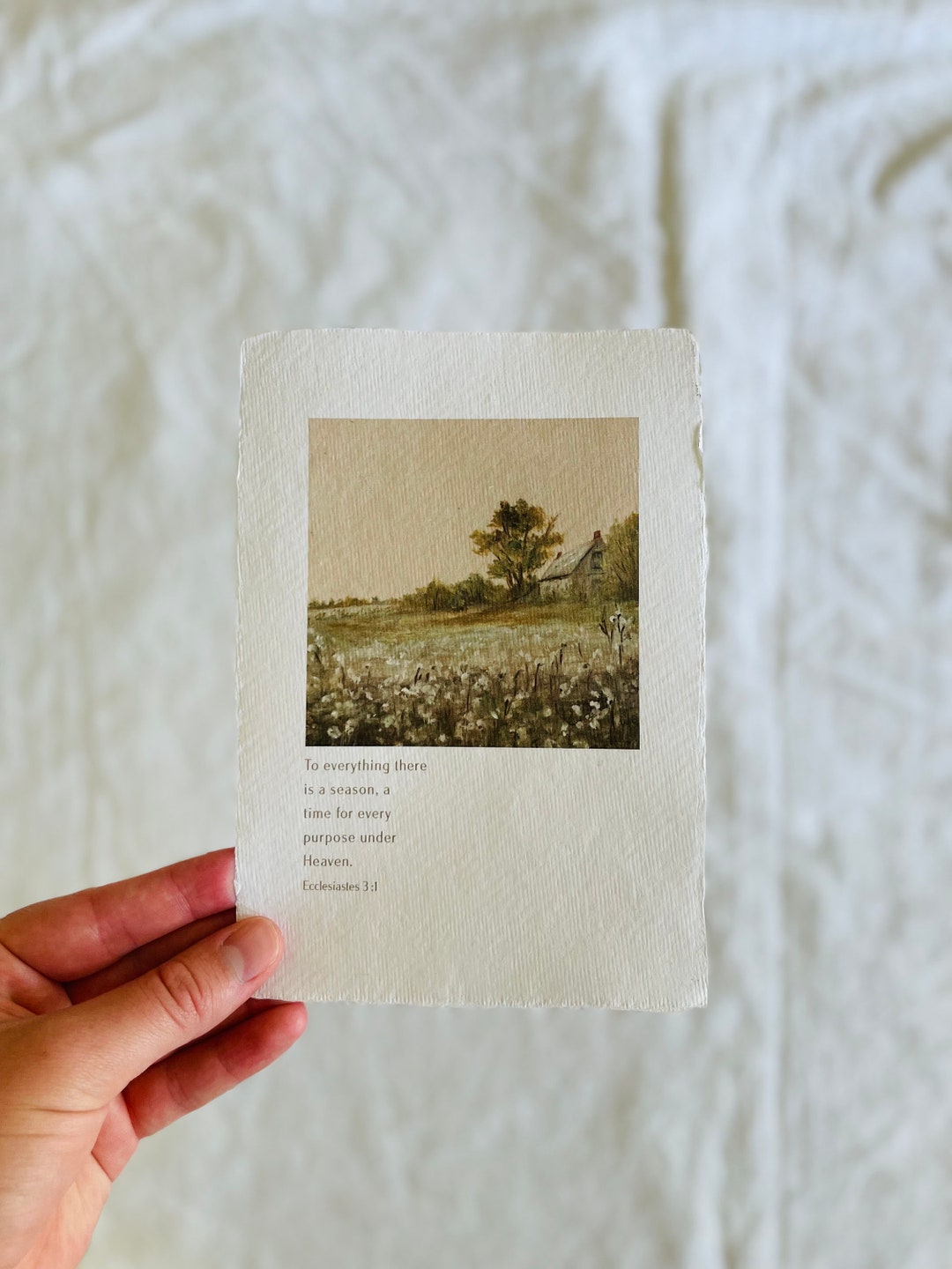 Field of Cotton Art Print on Handmade Paper | Quote Print | Bible Verse ...