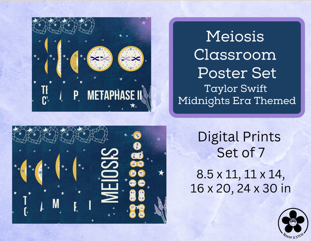 Meiosis Classroom Poster Set taylor Swift Midnights Era - Etsy