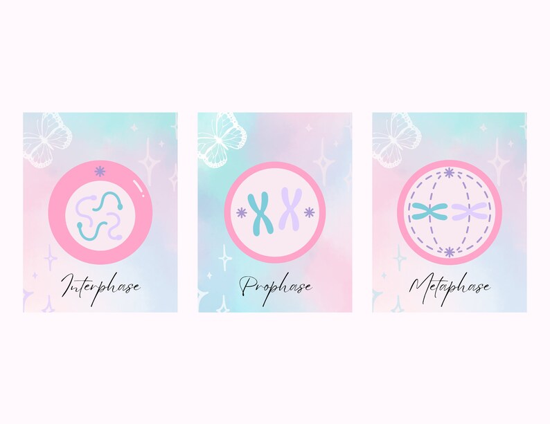 Mitosis Classroom Poster (taylor Swift Lover Era Themed) - Etsy