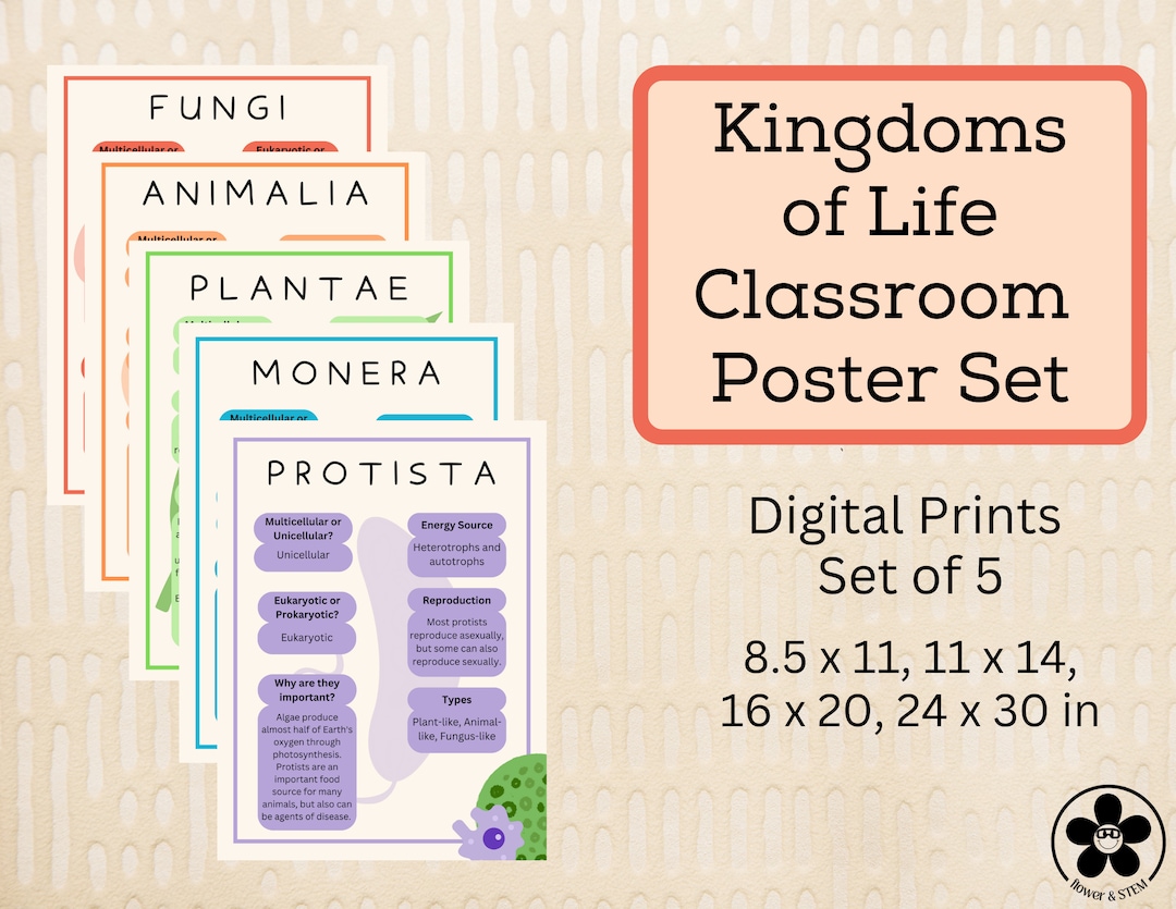 Kingdoms of Life Classroom Poster - Etsy