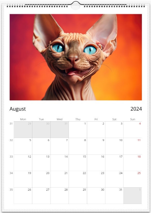 Smiling Sphynx Calendars 2024 A3 & A4 Hanging Calendars Funny Calendar ...