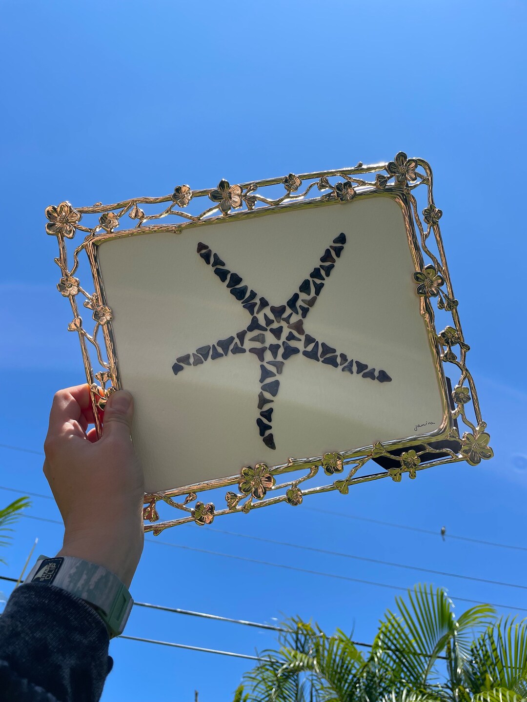 Real Shark Tooth Art| Starfish Wall Art| Beachy Wall Art| Shark Teeth ...