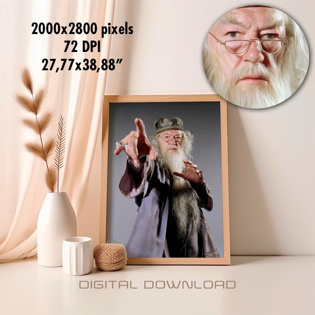 Albus Dumbledore, Harry Potter Wall Art, Dumbledore, Harry Potter ...