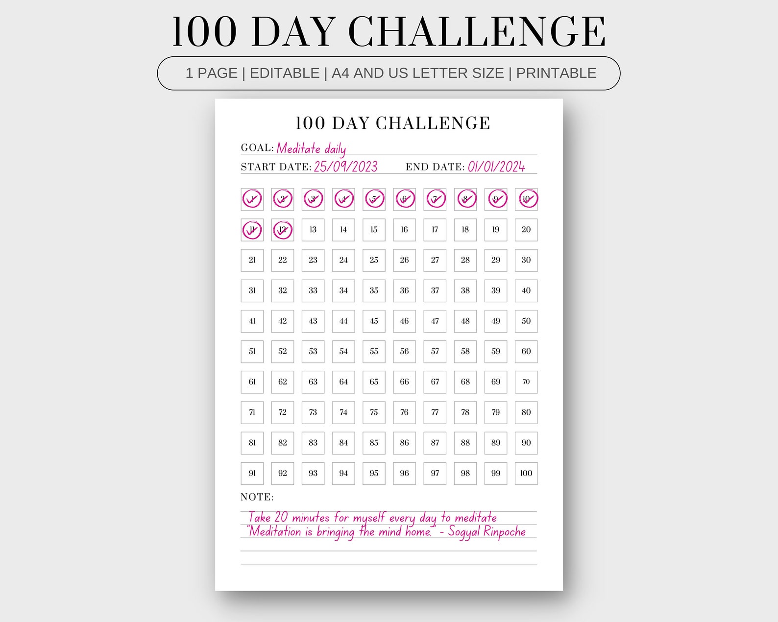 100 Day Challenge Tracker Printable | Goal Progress PDF | A4 Letter ...