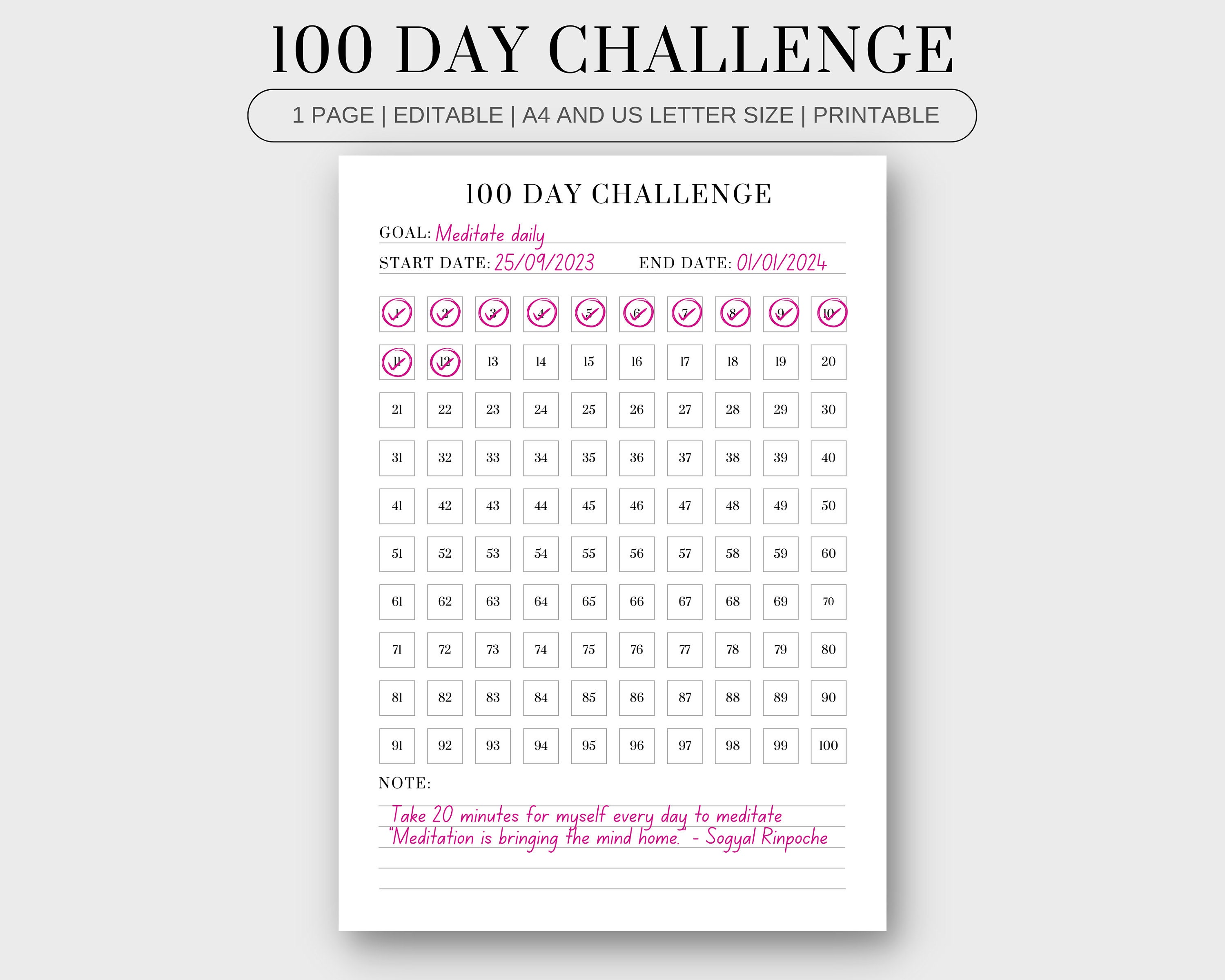 100 Day Challenge Tracker Printable | Habit and Goal Setting PDF ...