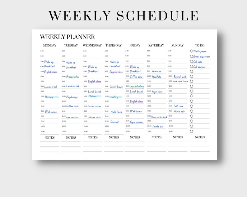 Digital Planner Bundle | Printable and Editable | Daily, Weekly ...