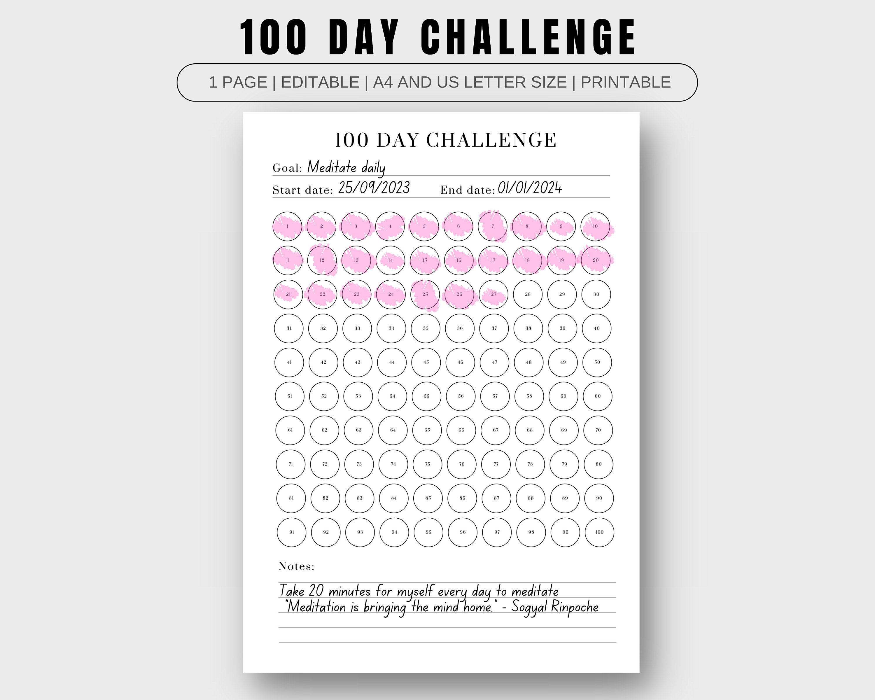 100 Day Challenge Tracker | Printable | Editable PDF | Digital Download ...