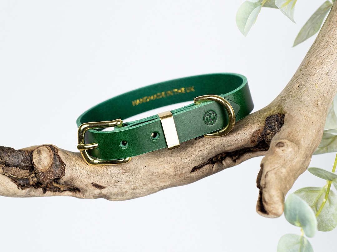 Green Leather Dog Collar, Personalized Dog Collar, Handmade Leather ...