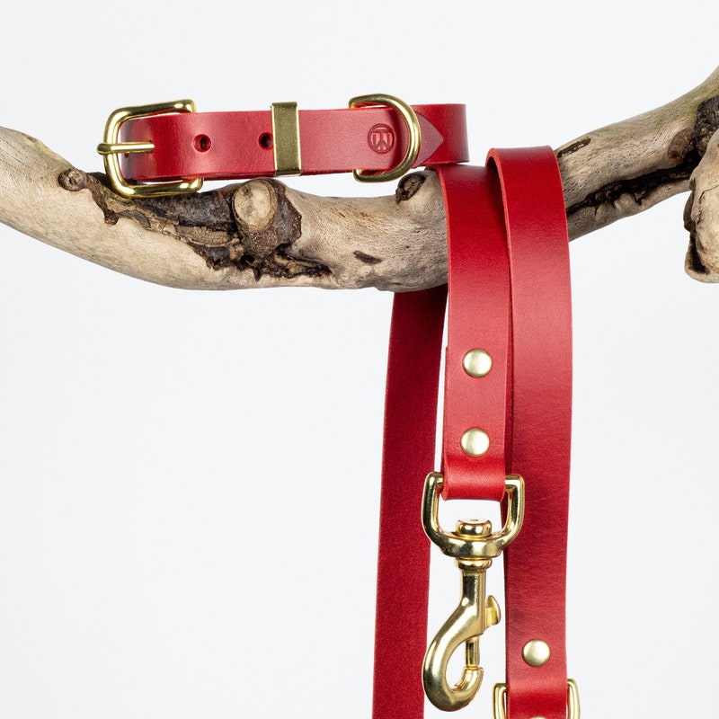 Red Collar - Etsy