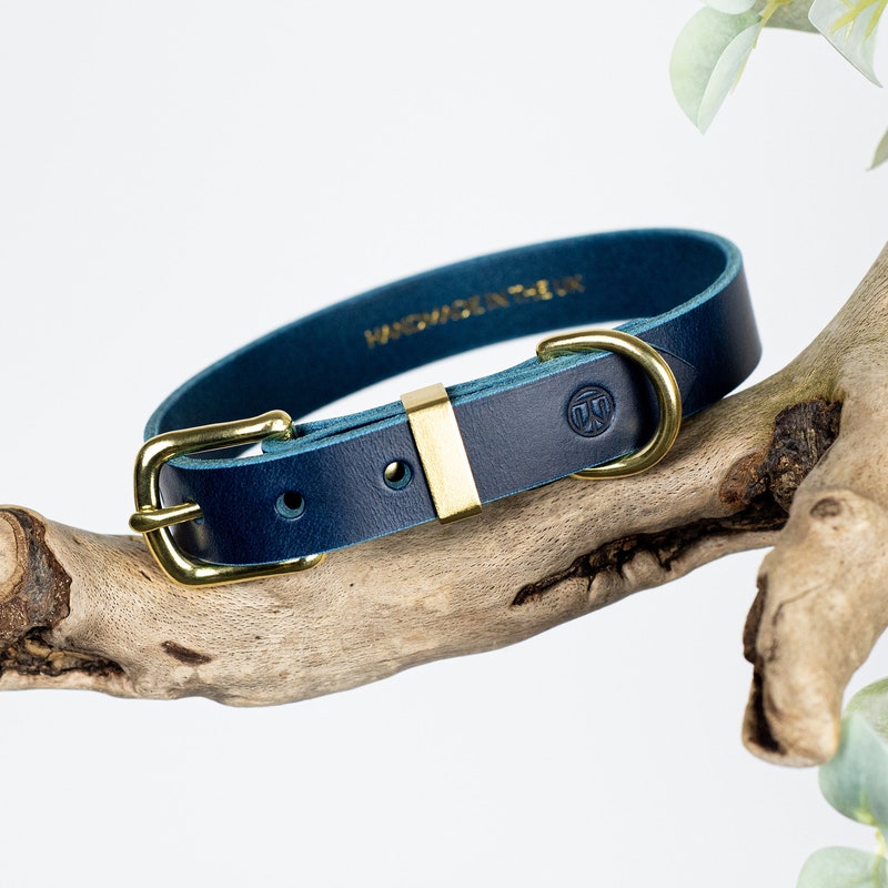Dog Collars - Etsy