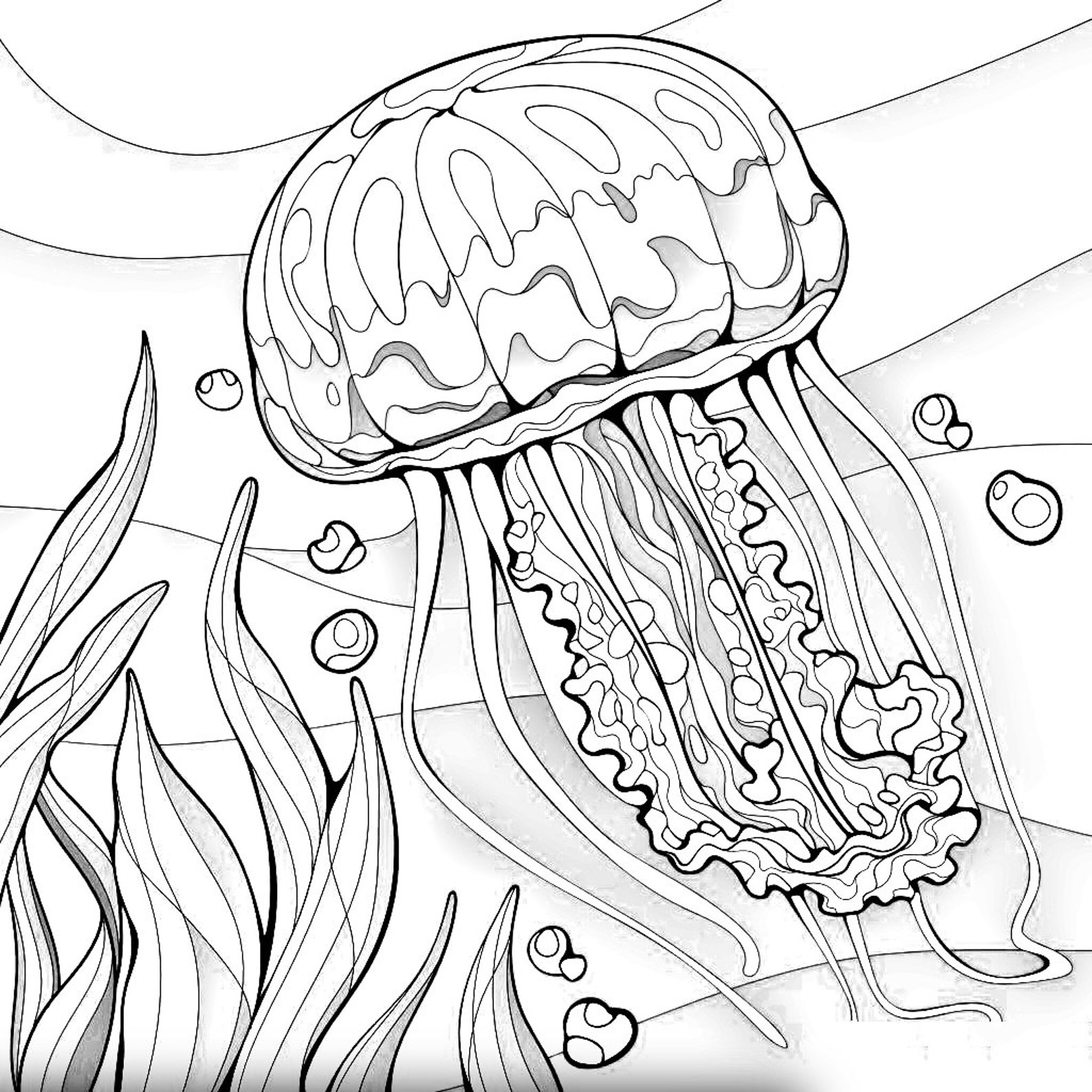 Jellyfish Coloring Page: Marine Life Art for Kids & Adults (PDF Format ...