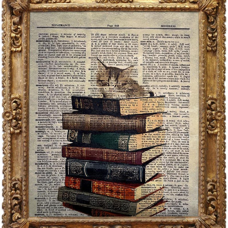 Cat Picture Dictionary - Etsy