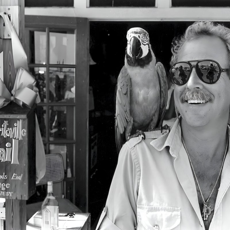 Jimmy Buffet Decor - Etsy