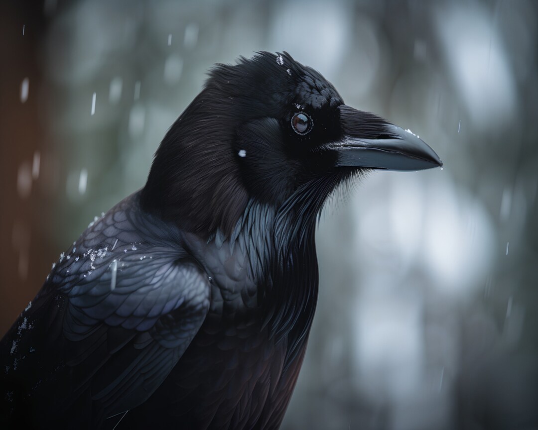 Gothic Raven, Art Print, Wall Hanging, Animal Poster Picture, Dark ...