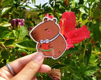 Capybara Sticker colorful Vinyl 2 Inches - Etsy