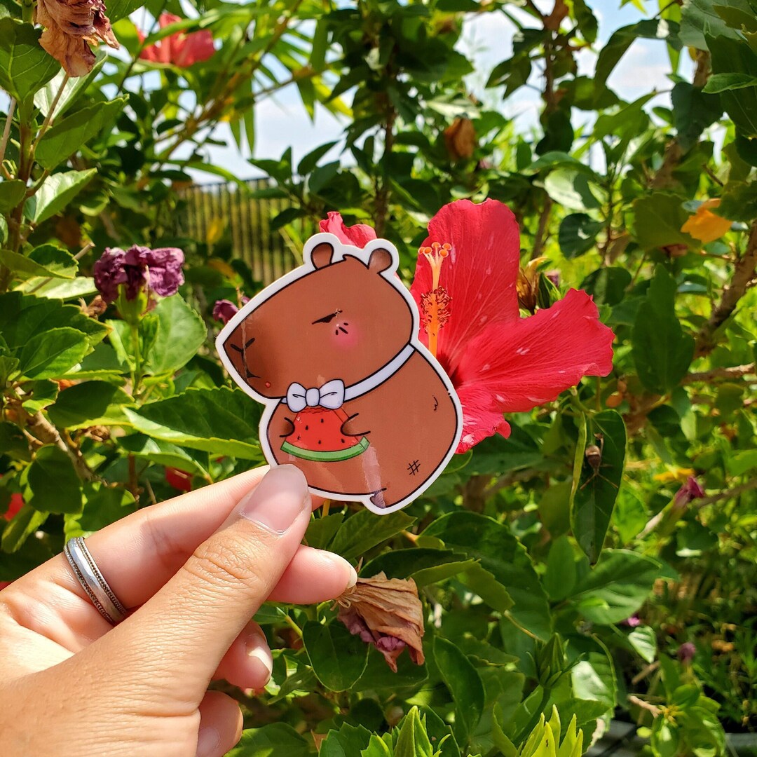 Capybara Sticker - Etsy