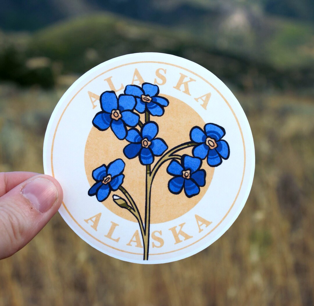 Alaska Forget-me-not State Flower Sticker - Etsy