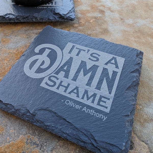 Its a Damn Shame Svg - Etsy