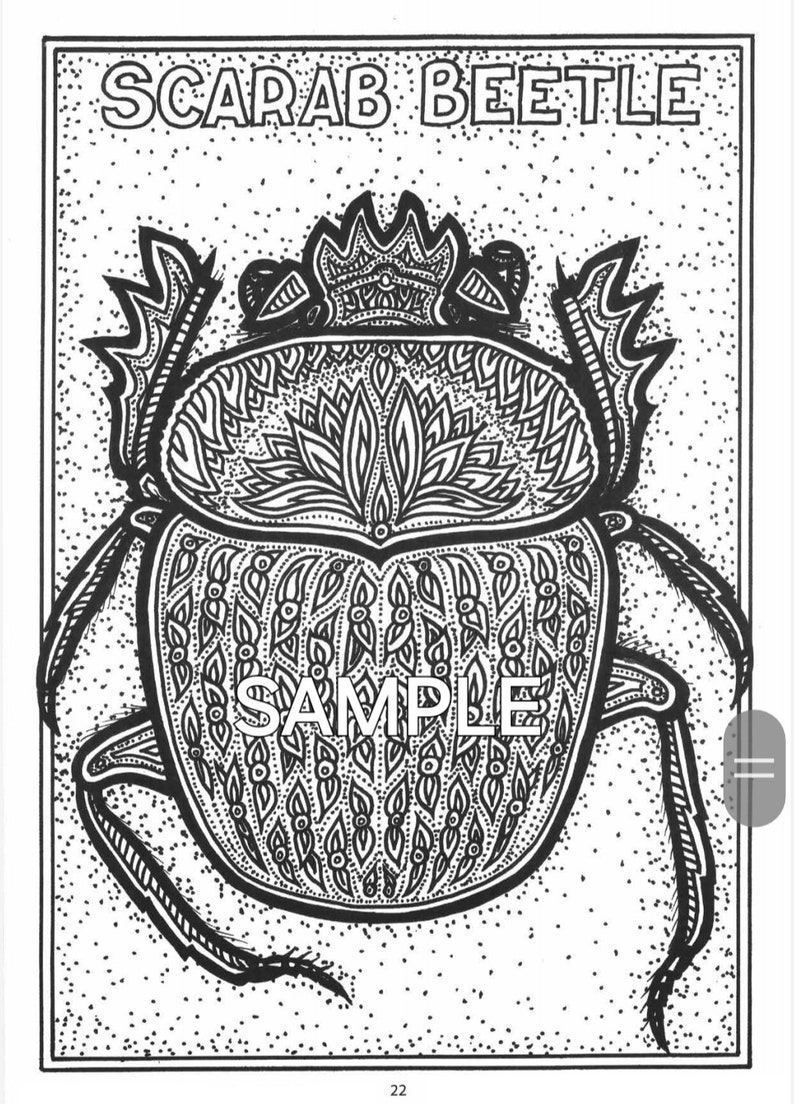 DESERT ANIMALS- Arid Land Animal Outlines: Part of the Arty Animal ...